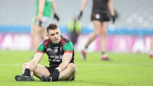 Brigid’s prove that they’re here to stay - GAA - Roscommon Herald