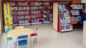 Library services reopen in Ballaghaderreen - News - Roscommon Herald