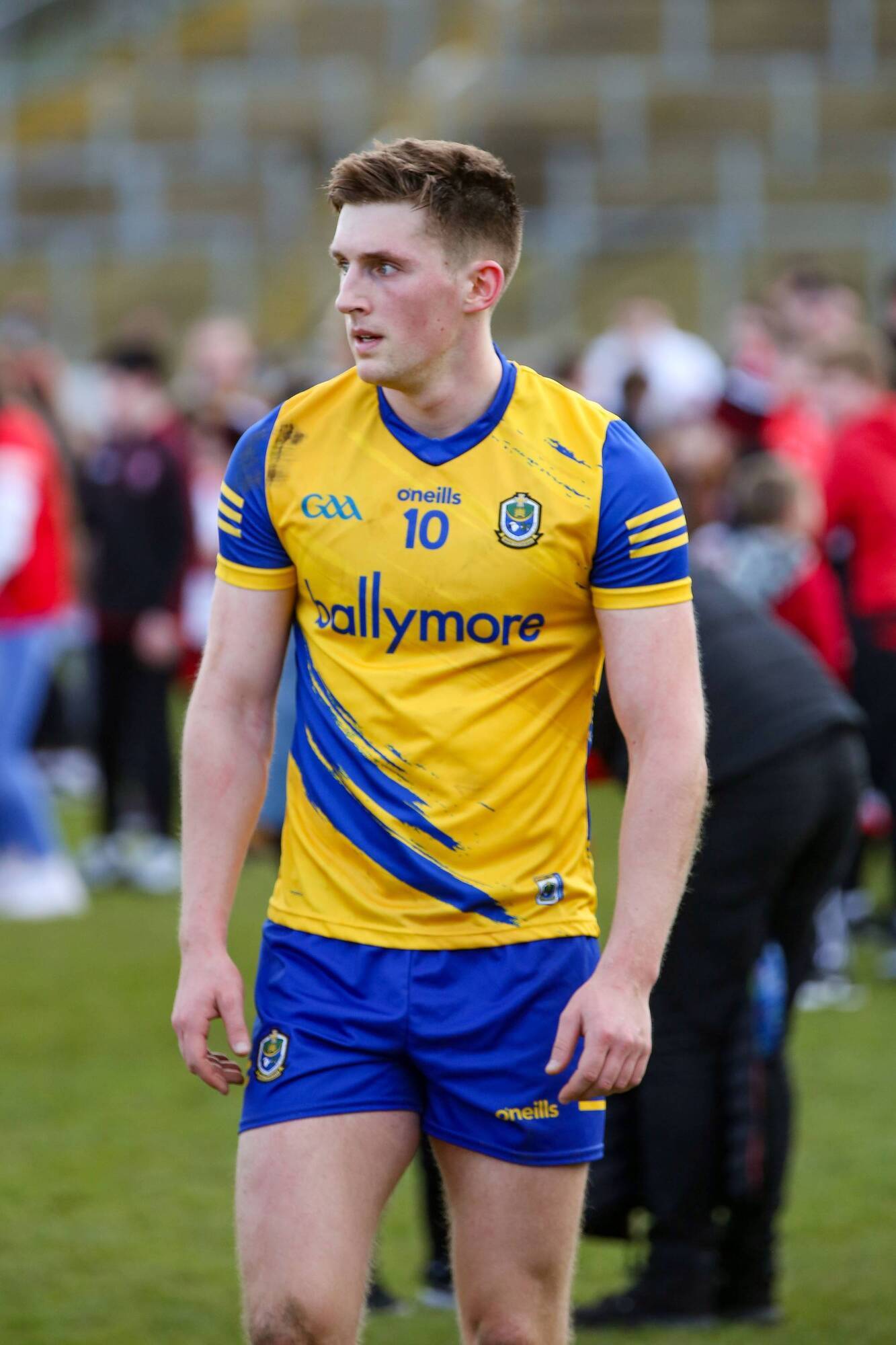 Relegation isn’t a life sentence - Willie Hegarty - Roscommon Herald
