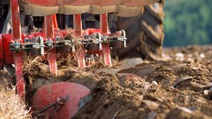 Ploughing Championships postponed due to poor weather - News ...