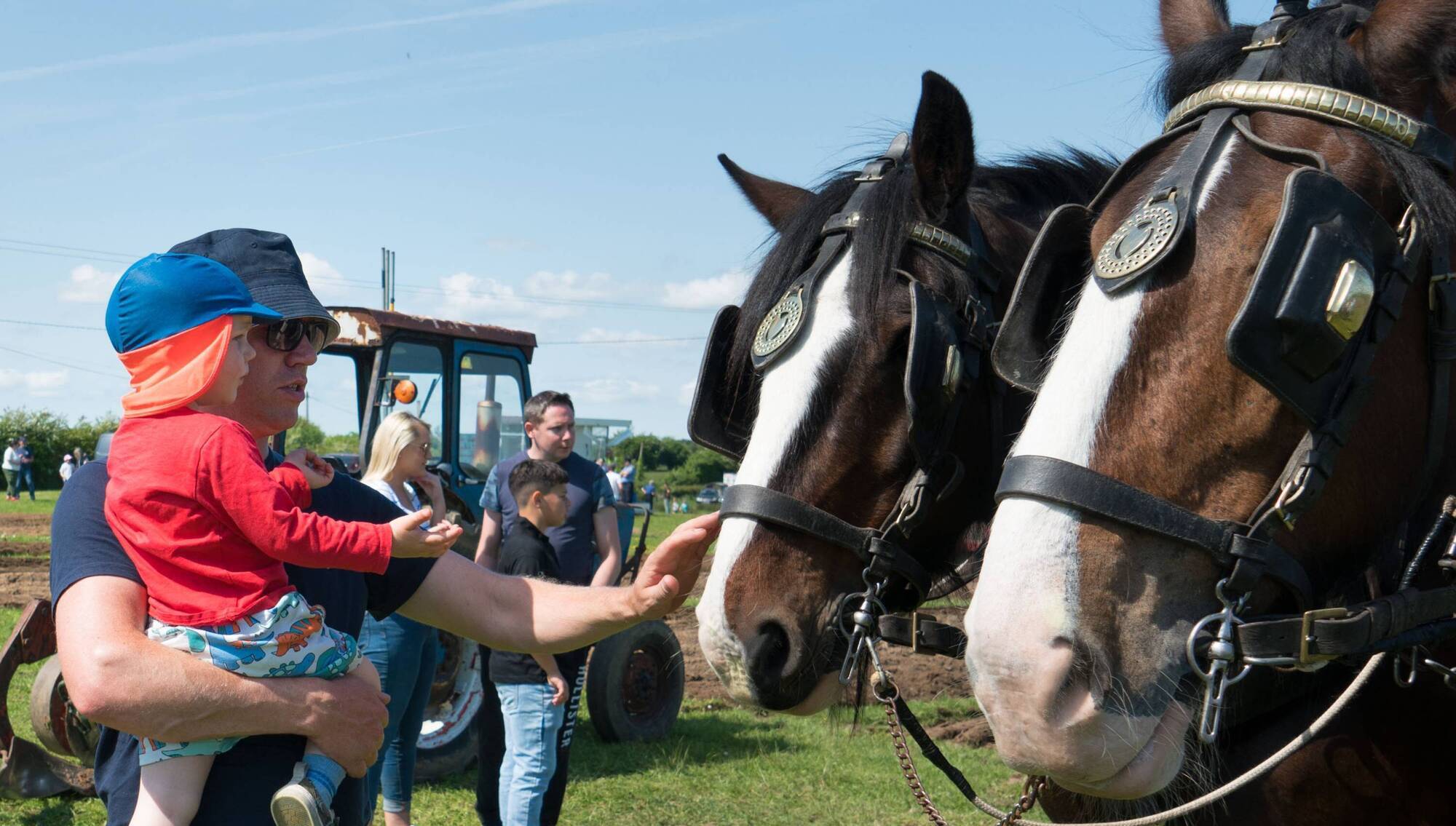 Picture special: Roscommon Ploughing Championships 2024 - News ...